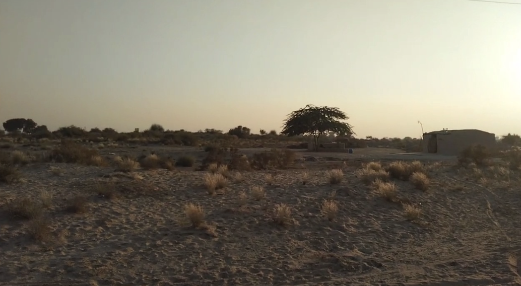 Spiritual Fruit in the Desert - Audio Scripture Ministries